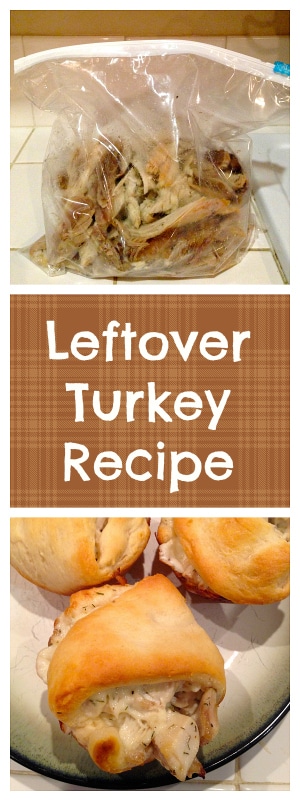 Best Leftover Turkey Recipe with Crescent Rolls - Turkey Turnovers