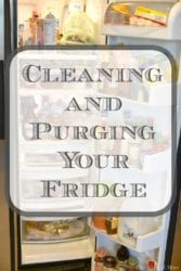 Free Refrigerator Clean Out Checklist Printable PDF