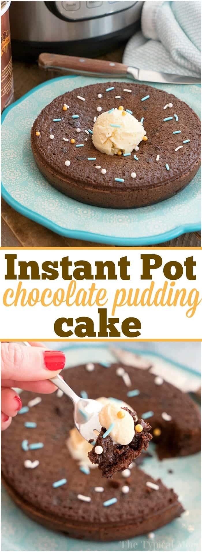 Instant Pot Chocolate Pudding Cake (Cake Mix)