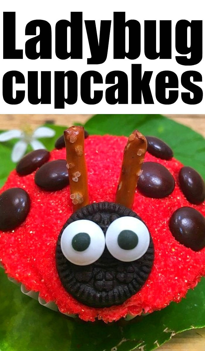 Ladybug Cupcakes (How to Make + Video)