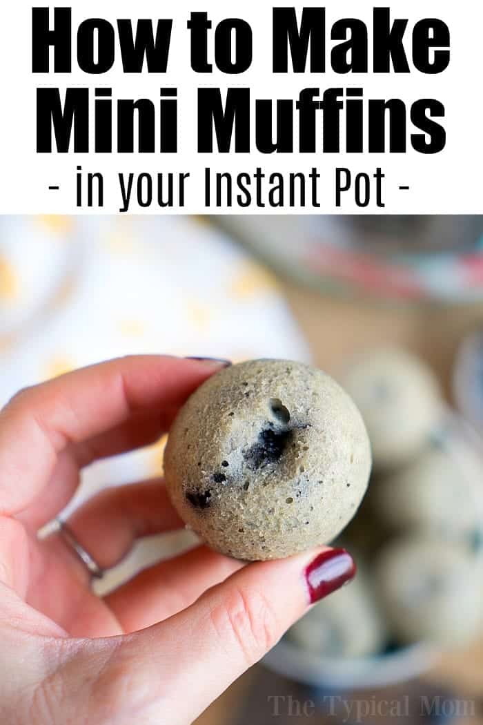 Instant Pot Blueberry Muffins (with Muffin Mix)