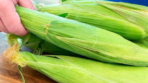 how to boil corn reddit
