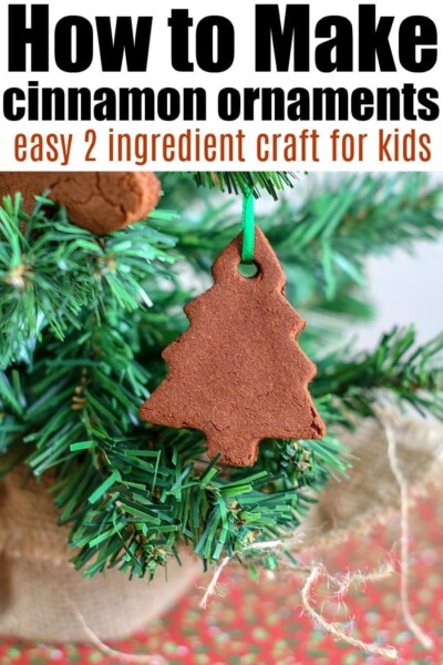 2 Ingredient Cinnamon Ornament Recipe - Applesauce Ornaments