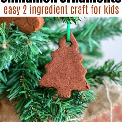2 Ingredient Cinnamon Ornament Recipe · The Typical Mom
