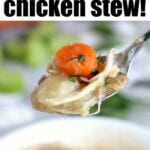 Instant Pot Chicken Stew - Ninja Foodi Chicken Stew Soup