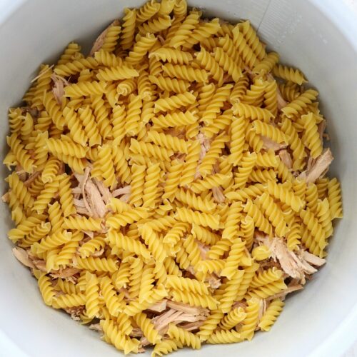 Easy Instant Pot Pasta Recipes · The Typical Mom