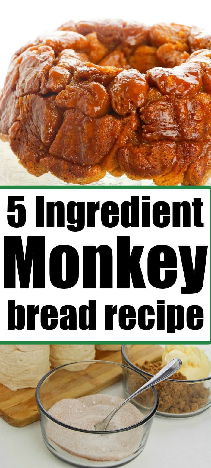 5 Ingredient Easy Monkey Bread Recipe with Biscuits