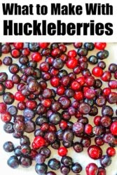 The Best 9 Huckleberry Recipes · The Typical Mom
