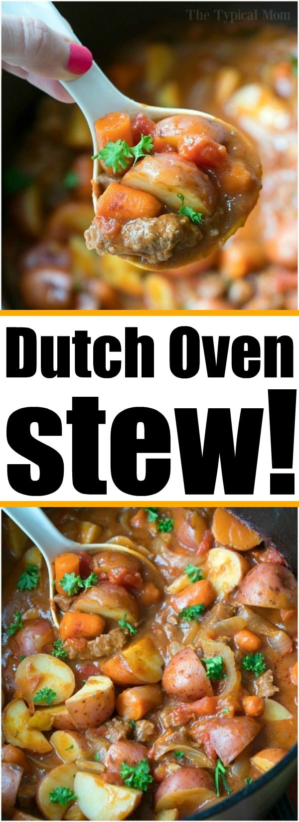 Best Beef Dutch Oven Stew · The Typical Mom