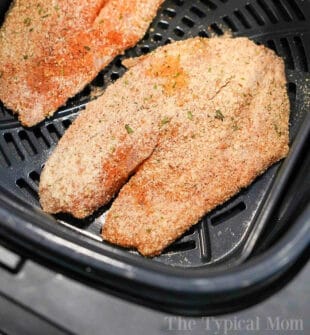 Easy Cosori Air Fryer Recipes · The Typical Mom