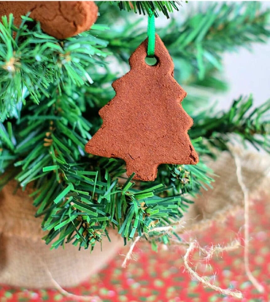 2 Ingredient Cinnamon Ornament Recipe - Applesauce Ornaments