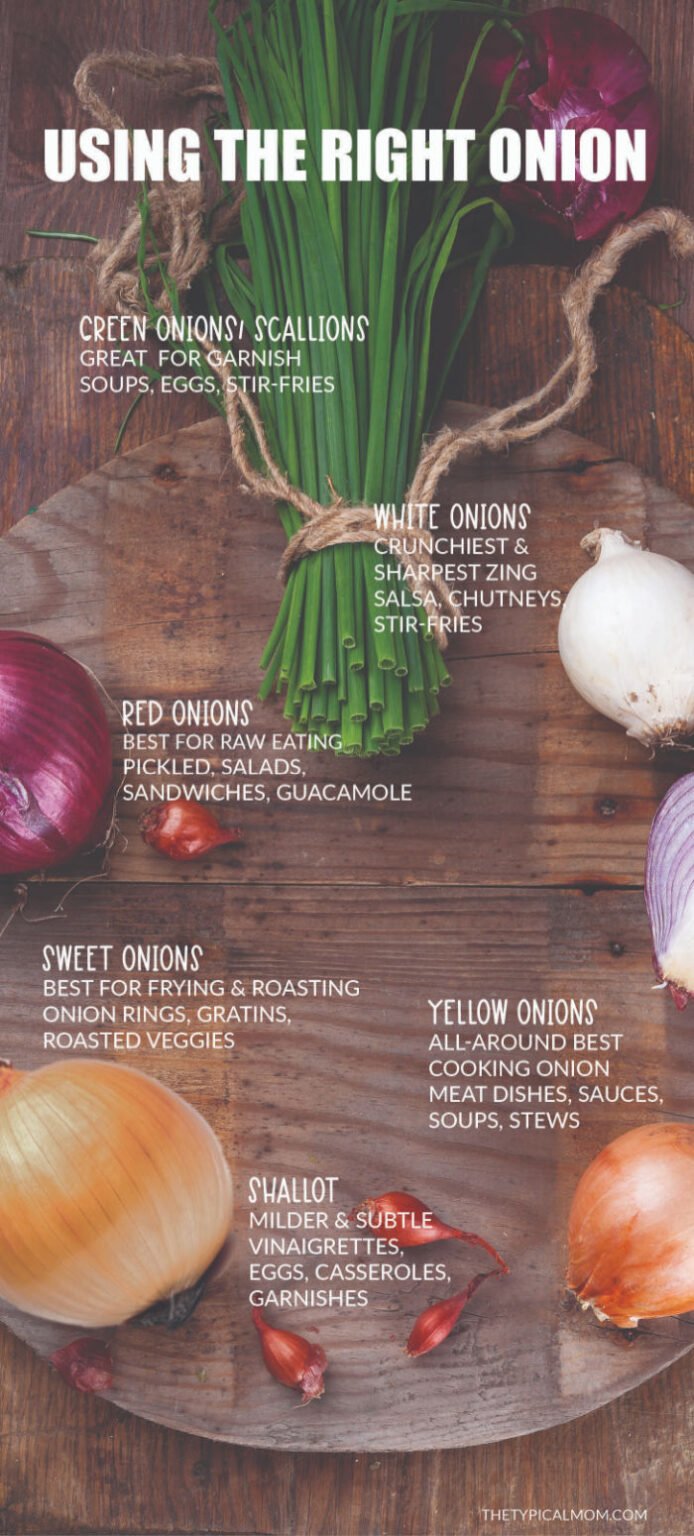 How to Use Different Types of Onions - Onion Recipes