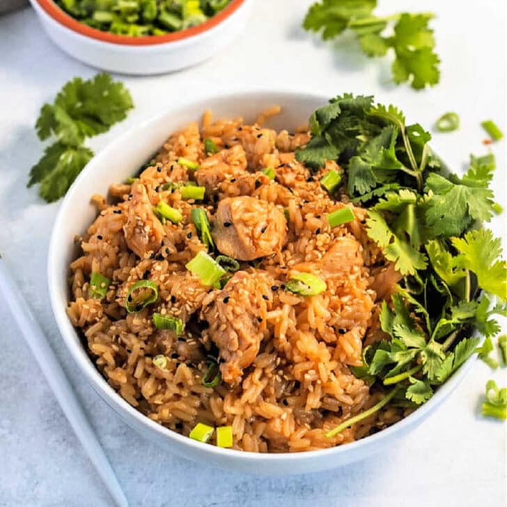 Instant Pot Teriyaki Chicken and Rice