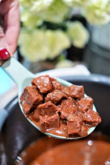 Instant Pot Frozen Stew Meat Recipe (with Gravy)