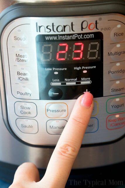 Burn on Instant Pot - What to Do + Video Guide