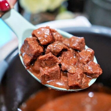 Instant Pot Frozen Stew Meat Recipe (with Gravy)