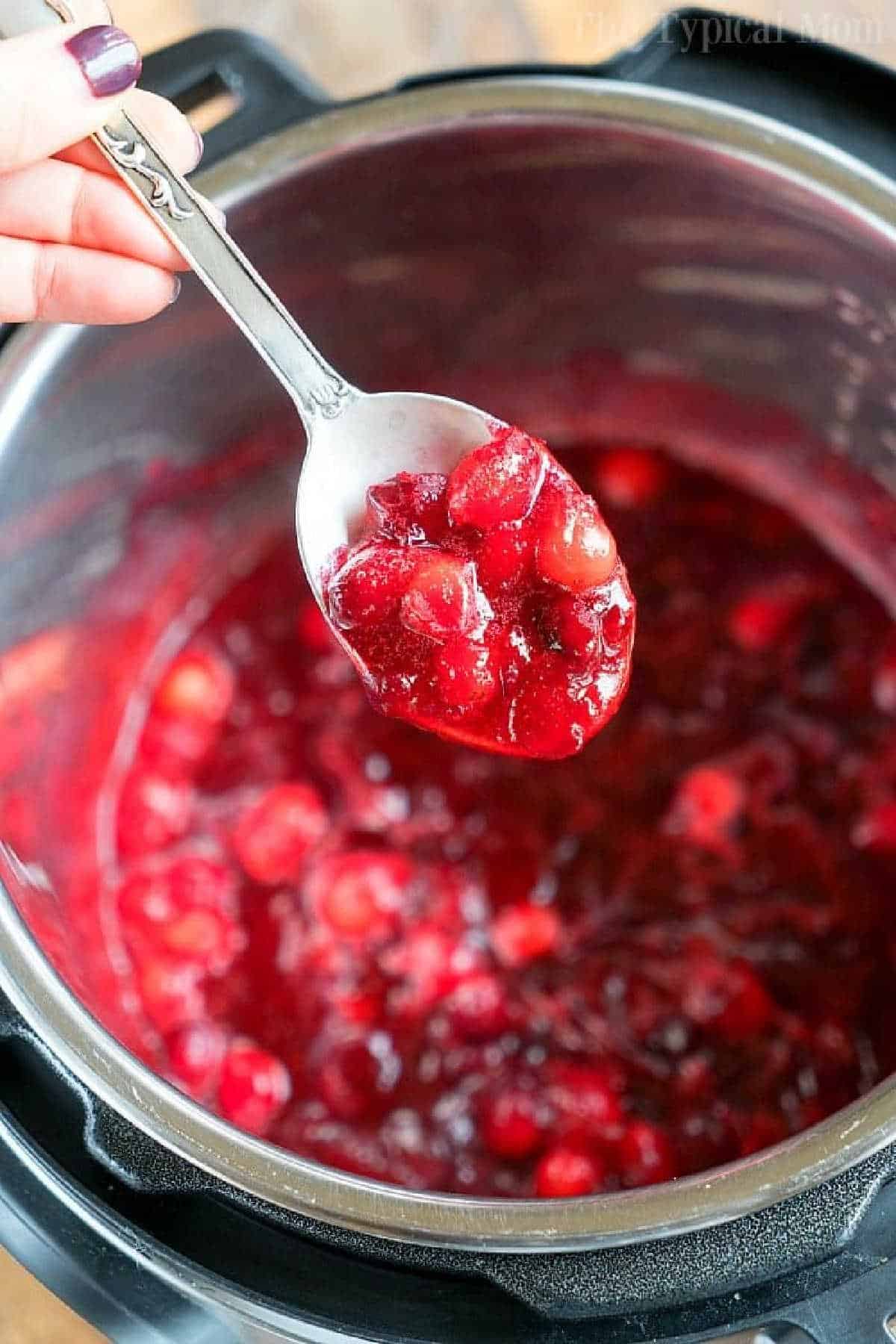 Cranberries Thanksgiving