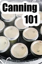 How to Can Jam (for Beginners)