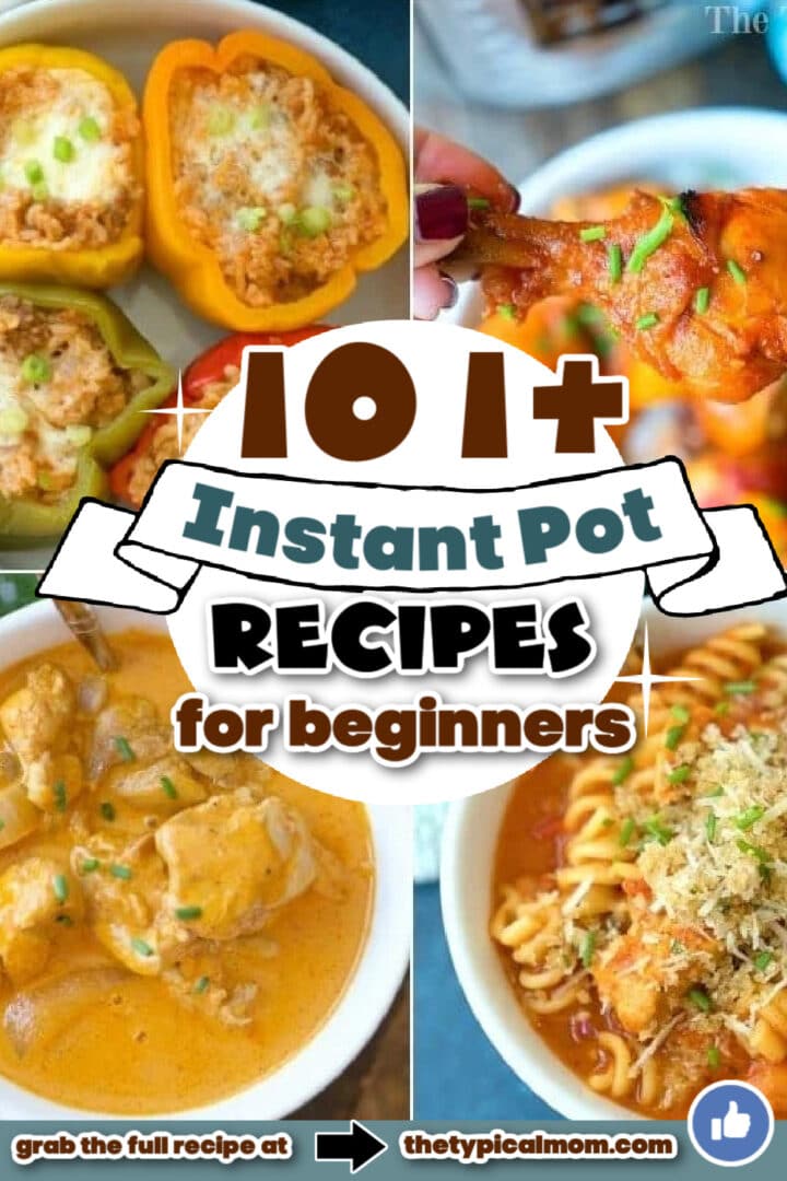 Instant Pot Recipes (for Beginners)