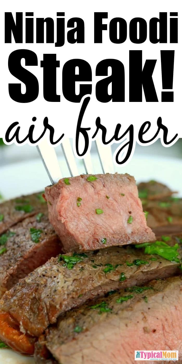 Ninja Foodi Dual Zone Air Fryer Steak - Dual Zone Air Fryer Review