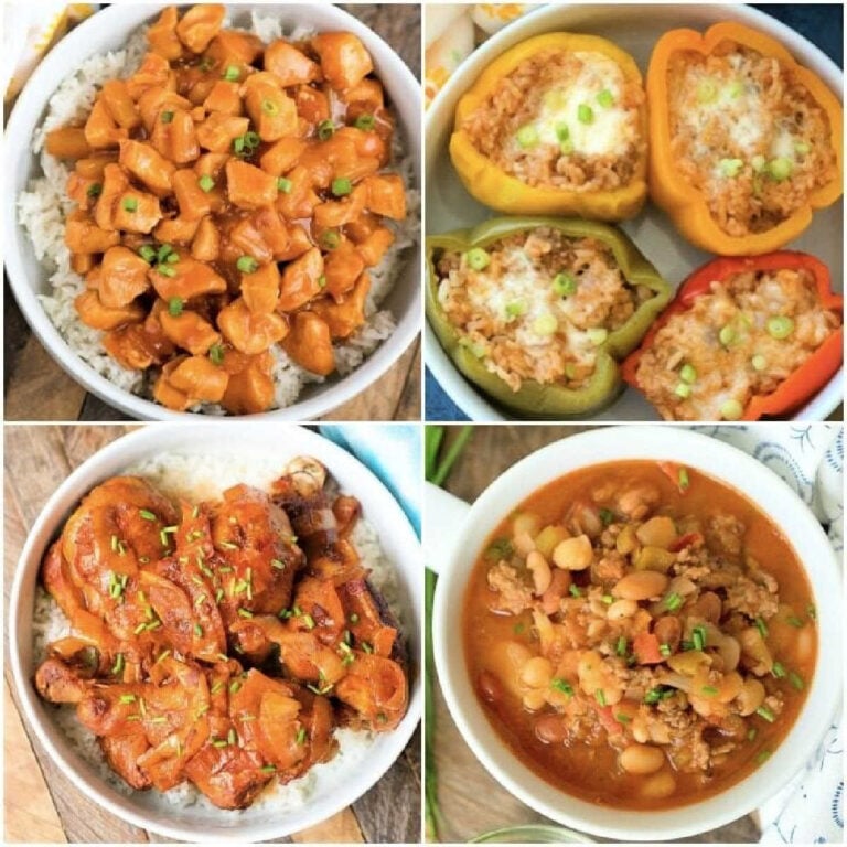100 Days of Instant Pot Dinner Recipes Your Family will Love - InstaPot
