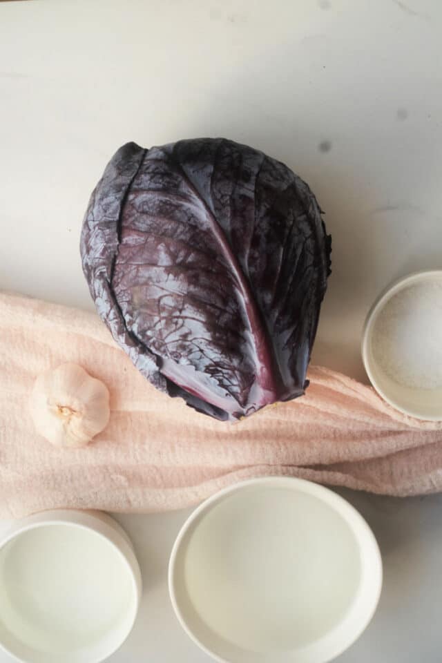 Pickled Red Cabbage Recipe (Quick Method)