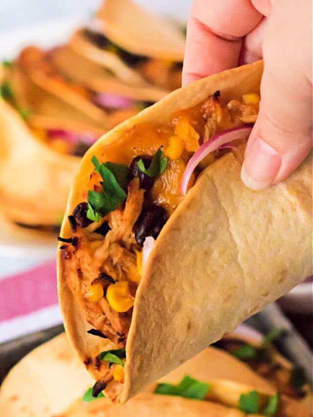 22+ Leftover Taco Meat Recipes · The Typical Mom