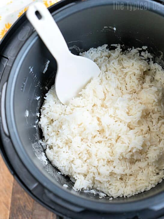 Easy Crockpot Express Recipes for Beginners