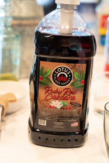 How to Make a Lotus Drink - Easy Lotus Drink Recipe - Pink Blue