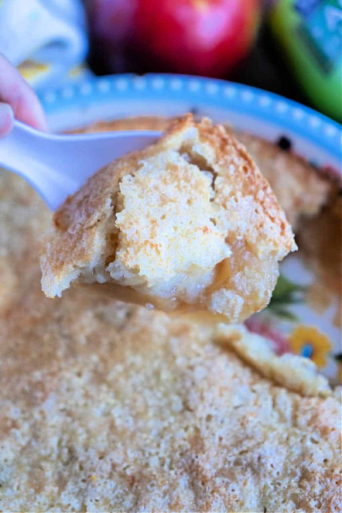 Pour Over Top Pie Crust (4 Ingredients)