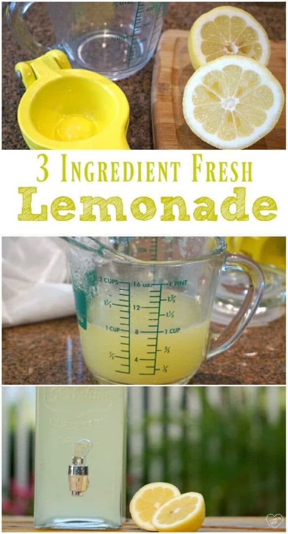 Fresh Squeezed Lemonade Recipe (3 Ingredients)