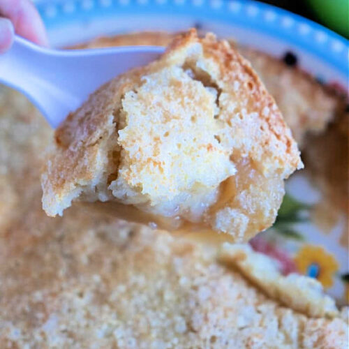 3 Ingredient Bisquick Pie Crust - No Egg Pie Crust - Pancake Mix