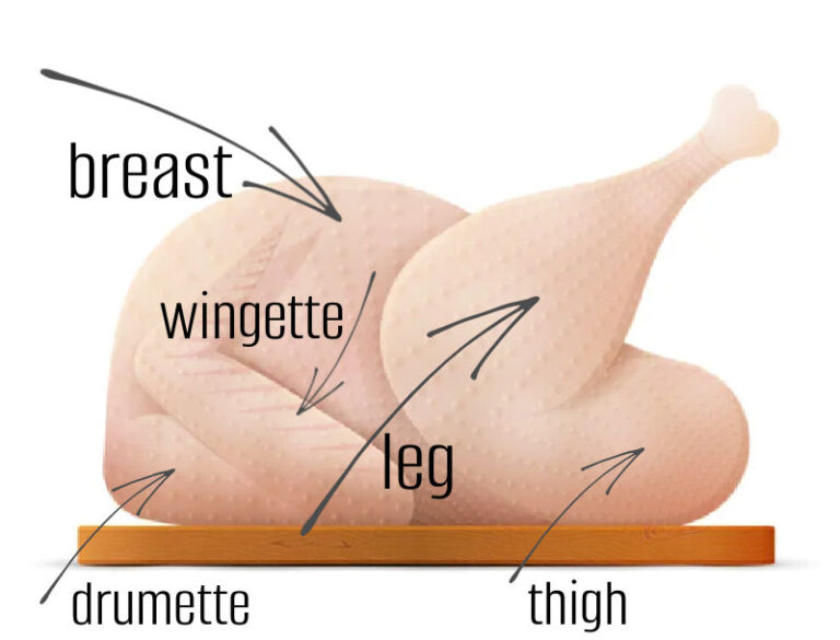 Parts of a Turkey (Diagram and Printable)