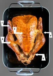 Parts of a Turkey (Diagram and Printable)