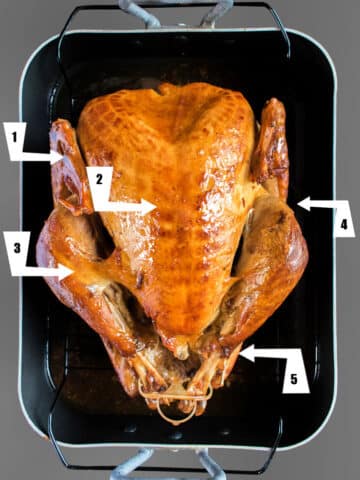 Cooking Basics - How to Start Cooking in the Kitchen