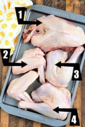 Parts of a Turkey (Diagram and Printable)