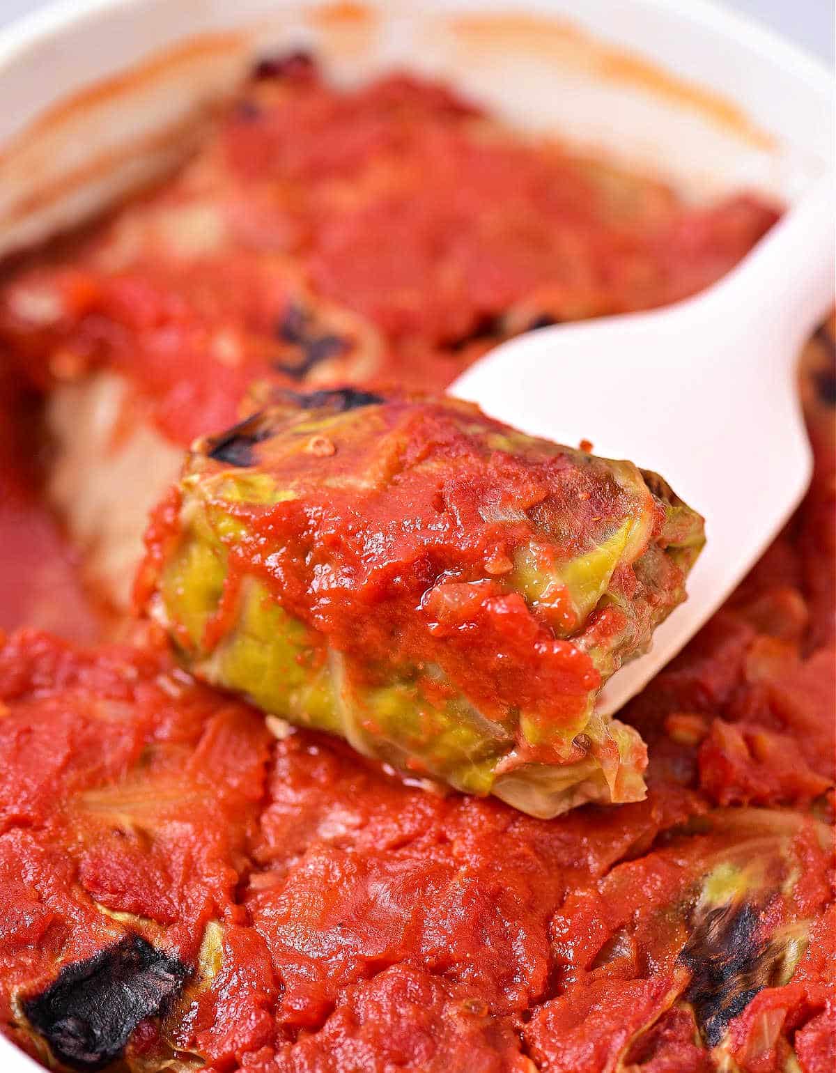 Easy Instant Pot Stuffed Cabbage - Ninja Foodi Cabbage Rolls