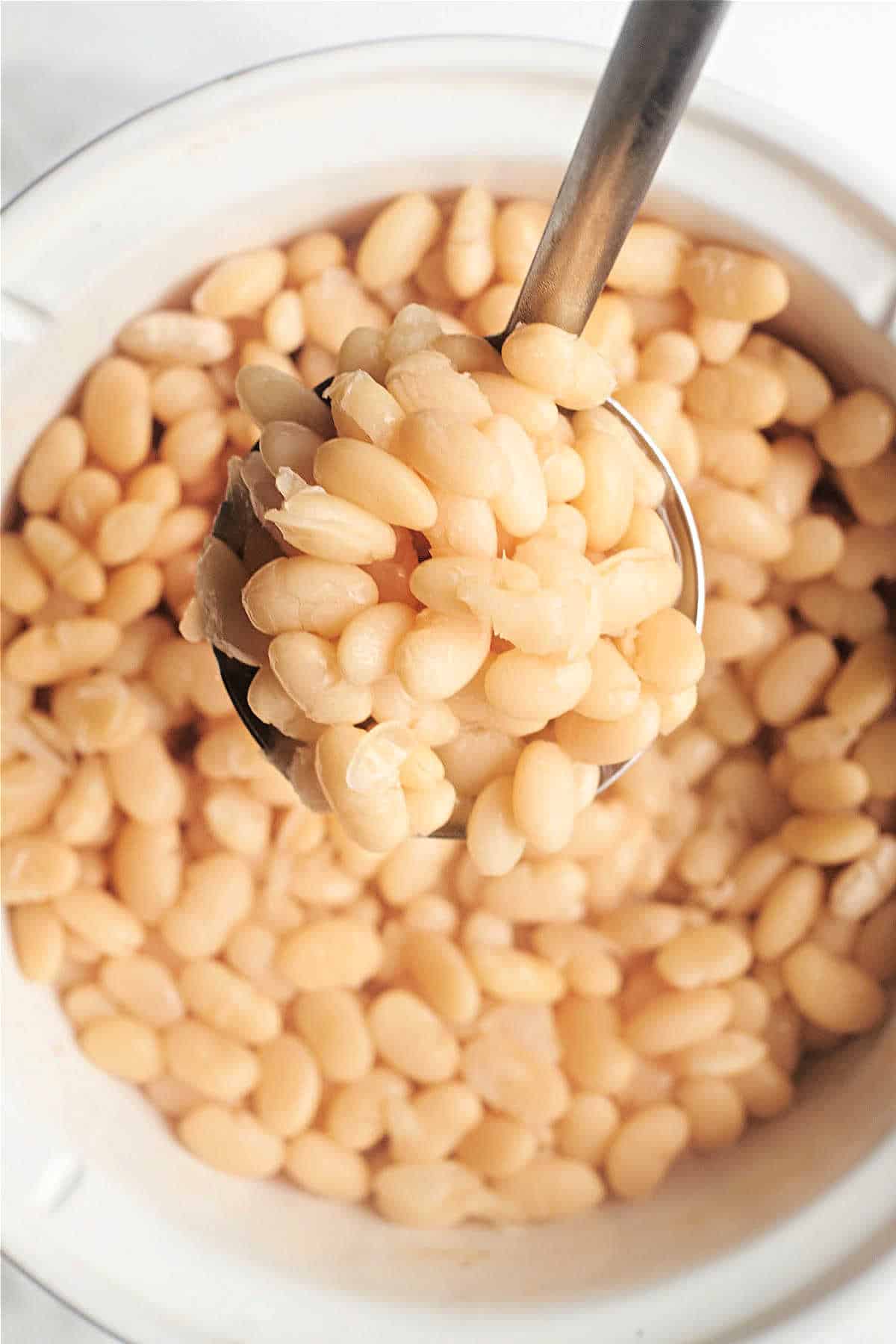 How to Cook Great Northern Beans Slow Cooker, Instant Pot Stove