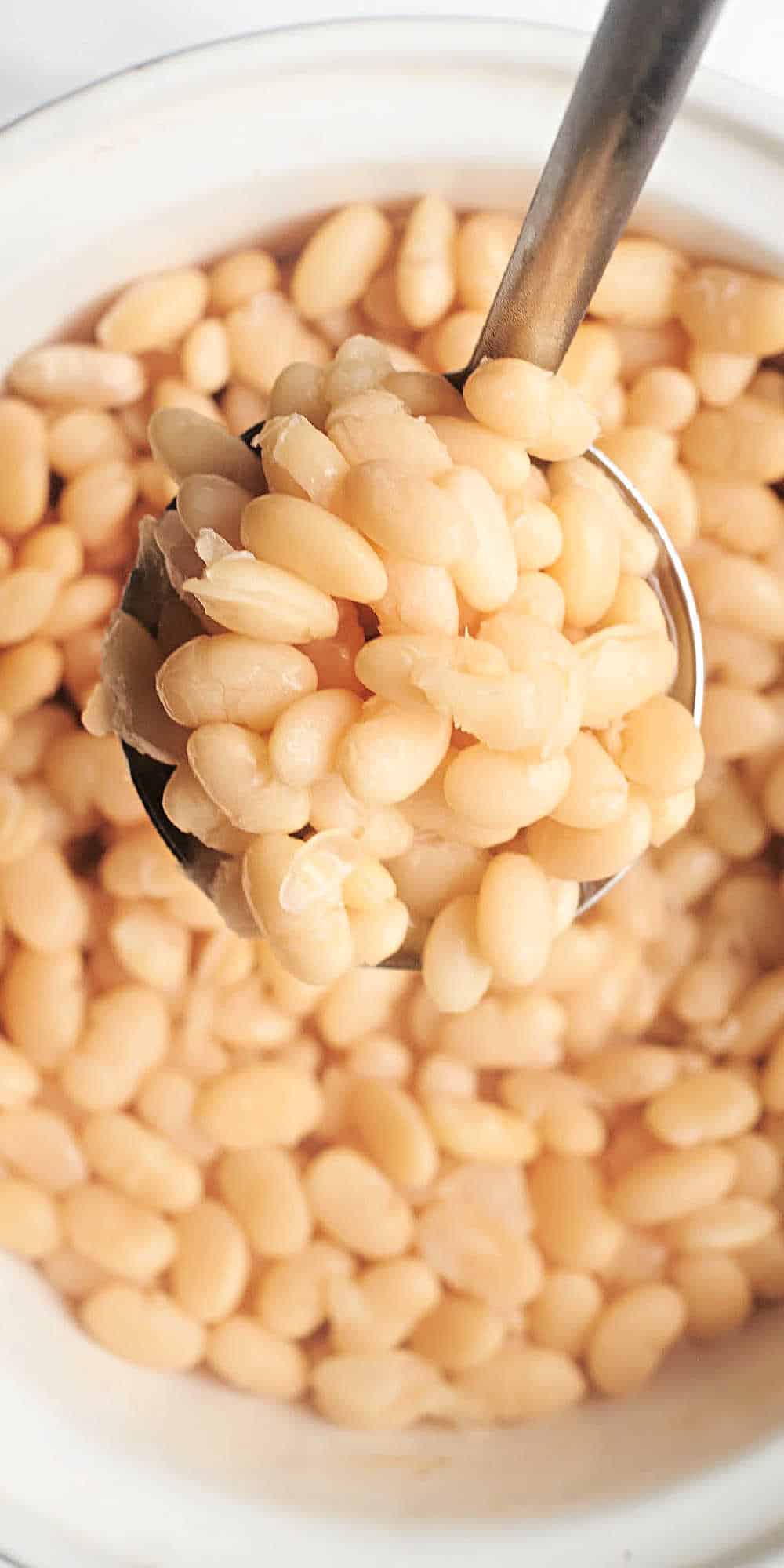 Great Northern Beans Recipe (3 Cooking Methods)