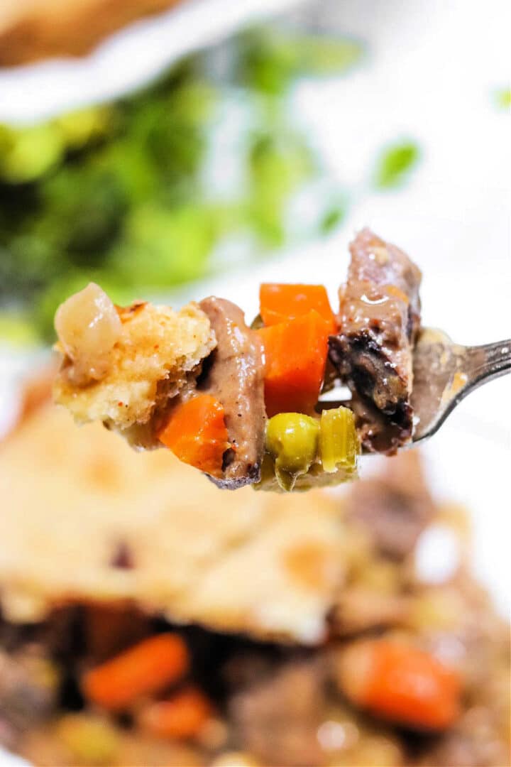 Double Crust Pot Pie Recipe (Beef)