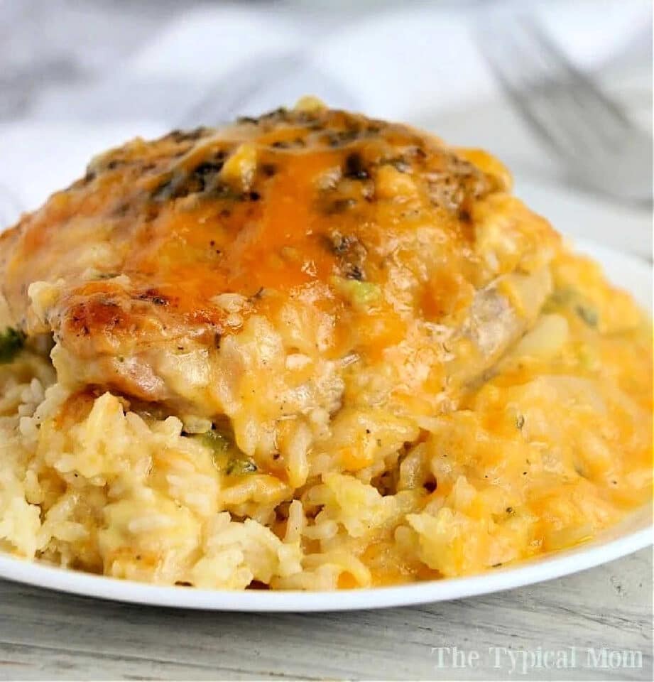 Campbells Crockpot Cheesy Chicken and Rice Recipe with Thighs