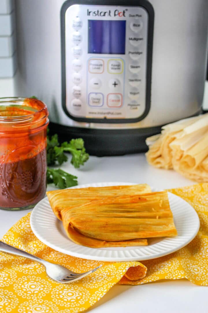 Step by Step Red Tamales Recipe - How to Make Tamales Easy