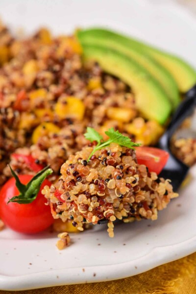How to Cook Tri Color Quinoa (Mexican Quinoa Recipe)
