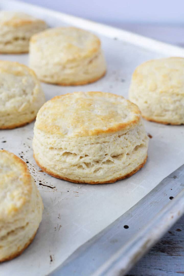 Whataburger Chicken Biscuit Recipe (Honey Butter)