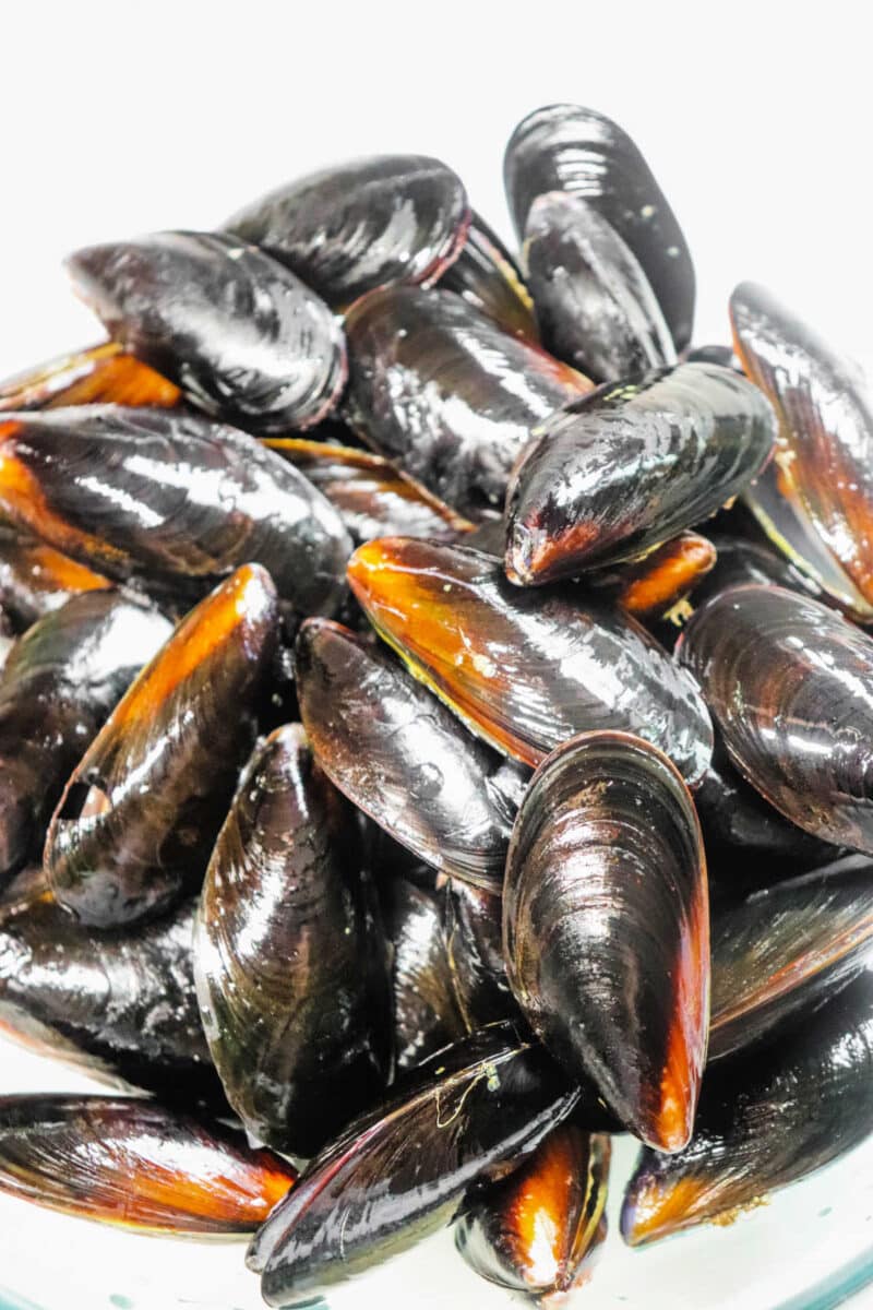 How to Cook Frozen Mussels - Smoked, Boiled, Pressure Cooker