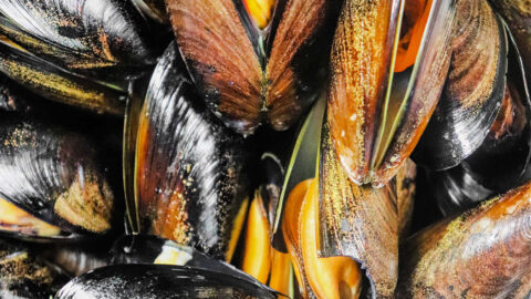 how to cook packaged mussels