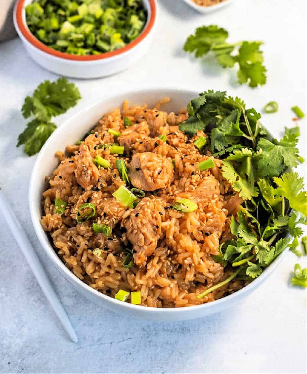Instant Pot Teriyaki Chicken and Rice