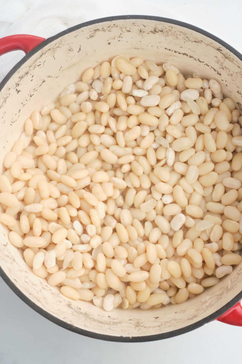 How to Cook Navy Beans (3 Ways + Quick Soak Directions)