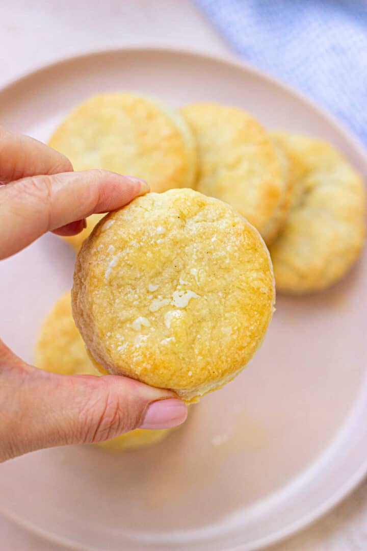Dutch Oven Biscuits (Homemade)