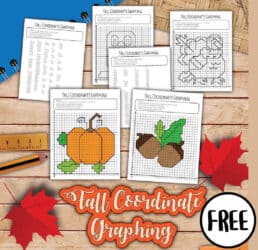 Free Coordinate Graphing Mystery Picture Worksheets PDF